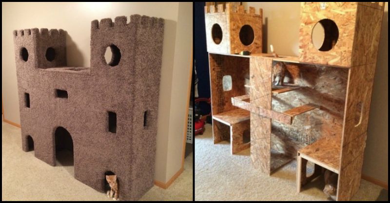 Vous allez adorer ce joli bricolage de château pour chat - C'est fait ...