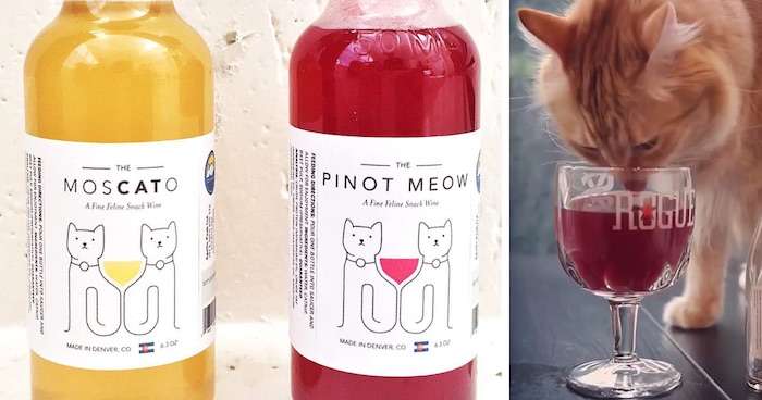 Cette société vient d'inventer du vin pour les chats - C'est fait maison