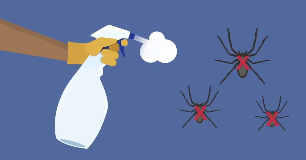 11 manières de vous débarrasser des araignées sans produits chimiques ...